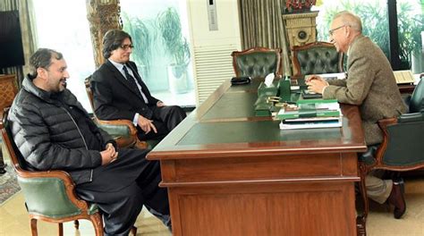 صدر مملکت سے ملاقات، پی ٹی آئی وفد نے عام انتخابات میں مبینہ دھاندلی سے