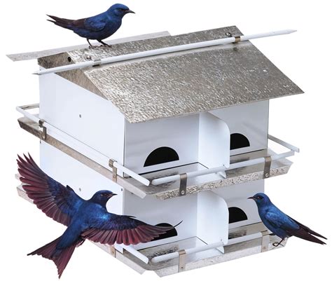 Purple Martin Nest Box