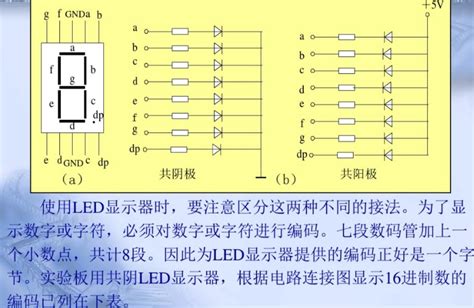 基于 单片机数码管的动态显示 F CSDN社区