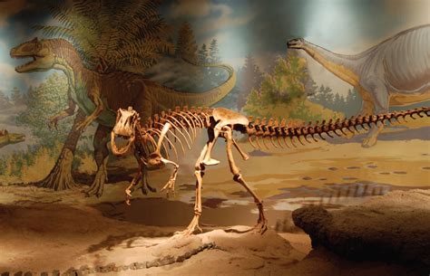 Mesozoic Era Dinosaurs Dinosaurs Pictures And Facts