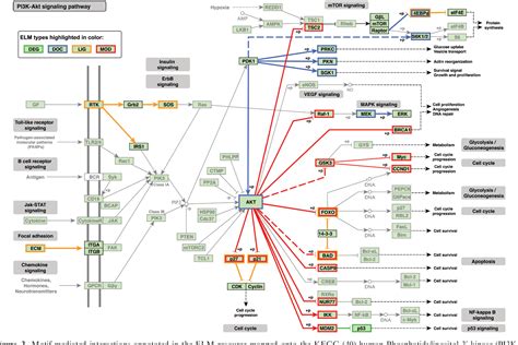 Figure 3 From The Eukaryotic Linear Motif Resource Elm 10 Years And Counting Semantic Scholar