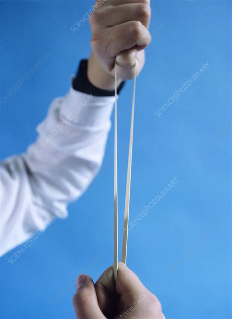 Elasticity Experiment Stock Image H4600392 Science Photo Library