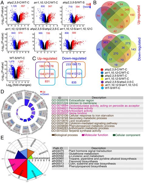 Heatmap Hierarchical Clustering And Genotype Genotype Correlations Of