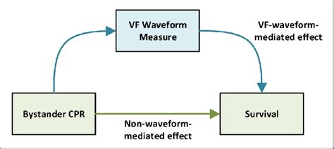 Hypothesized Vf Waveform Mediated Pathway Cpr Indicates Download