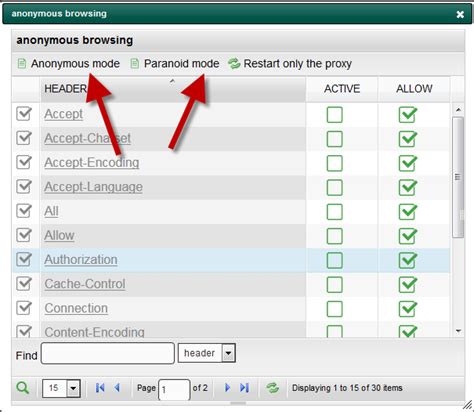 Anonymous Browsing Artica Proxy