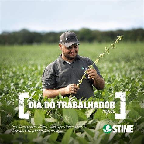 Ivan Martus Posted On Linkedin