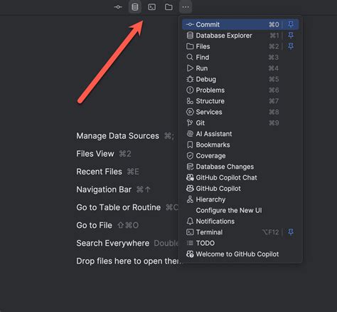 Missing Icons In New Ui Ides Support Intellij Platform Jetbrains