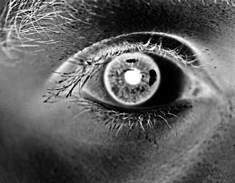 inverted eye behance