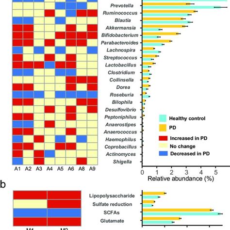 Differences In Microorganisms And Metabolic Pathways Between Healthy Download Scientific