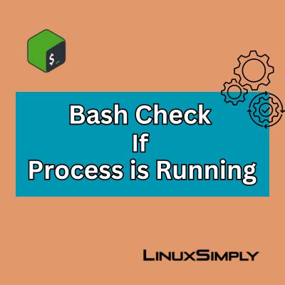 Check If A Process Is Running In Bash Methods LinuxSimply