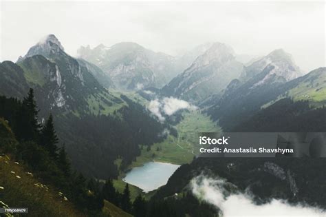 스위스 알프스의 여름 비오는 날 안개로 뒤덮인 청록색 호수와 산의 드라마틱한 전경 0명에 대한 스톡 사진 및 기타 이미지 0명 경외감 계곡 Istock