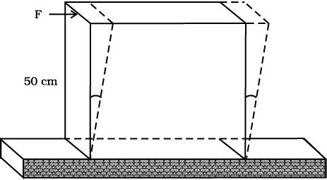 Shear Modulus JEE IIT NCERT Physics Math