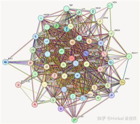 手把手教学｜string数据库与cytoscape软件联合应用 知乎