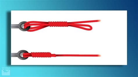 How To Tie A Uni Knot Sharksinfo Com How To Tie A Uni Knot Sharksinfo Com