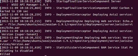 Wso2 Api Manager Install On Aws Instance Stack Overflow