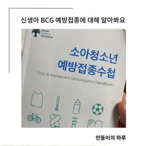 신생아 Bcg예방접종 경피용 피내용 종류 네이버 블로그