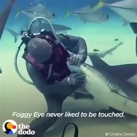 Ilango D On Linkedin Help Builds Trust Trust Evokes Love Love Makes Wonders A Woman… 115