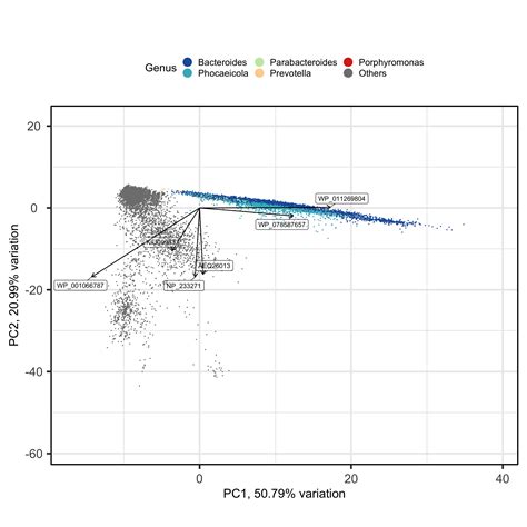 R PCAtools Point Overlapping Stack Overflow