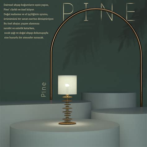 Liona Mimarlık Liona Concept