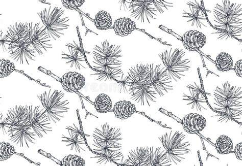 Vector Background With Hand Drawn Conifers Trees In Sketch Style Stock Vector Illustration Of