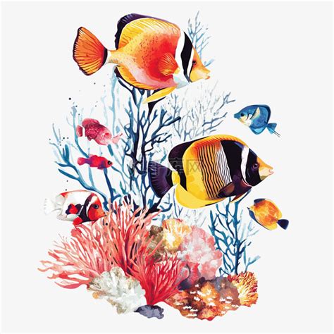 水下世界插图与游动的鱼素材图片免费下载 千库网