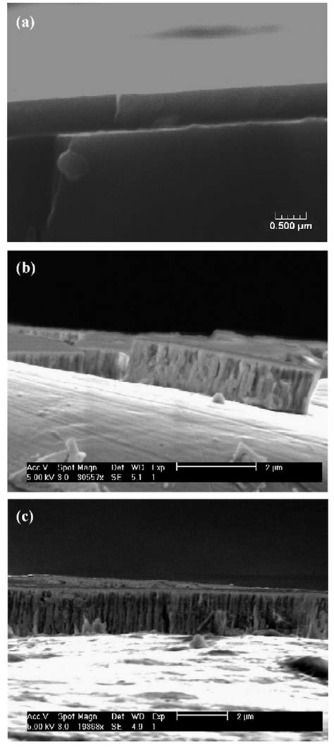 Brittle Fracture Cross Section Sem Micrographs Of Ysz