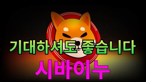 시바이누 코인 기대하셔도 좋습니다~ Youtube