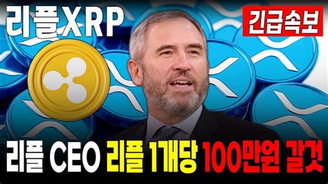 리플 전망 리플 Ceo 갈링하우스 충격적인 발언 리플 1개당 100만원 갈것 Youtube