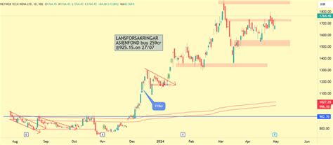 Stock Analysis Netweb Technologies India Ltd