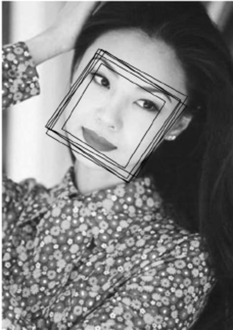 Removing Multiple Detections A An Example Of Multiple Detections On