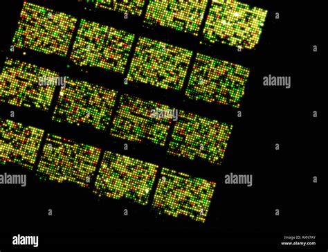 Dna Chip High Resolution Stock Photography And Images Alamy