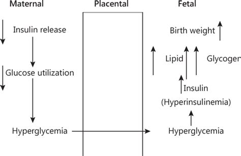 Figure 1 From Gestational Diabetes Mellitus And Macrosomia A
