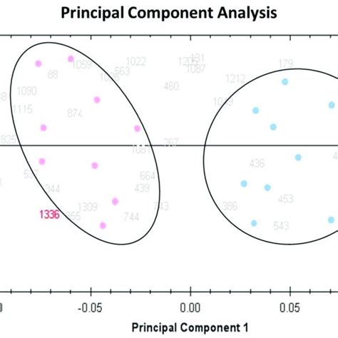 Principal Component Analysis Pca Plot Showing The Two First Principal