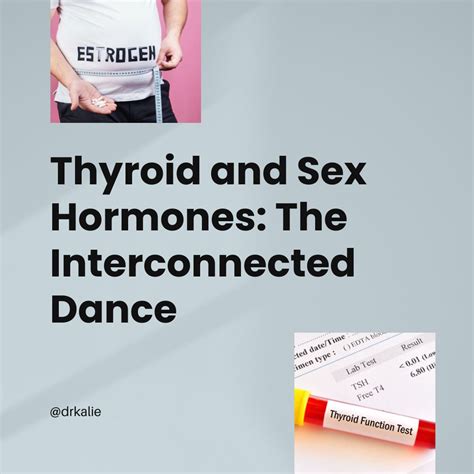 Lori Kalie Dc Cfmp On Linkedin Thyroid And Sex Hormones The Interconnected Dance As A