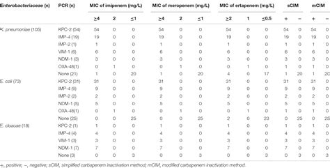 Figure 2 From The Simplified Carbapenem Inactivation Method Scim For