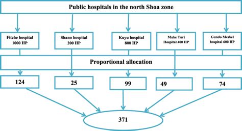 Schematic Presentation Of Sample Size Allocation In Hospitals In The Download Scientific