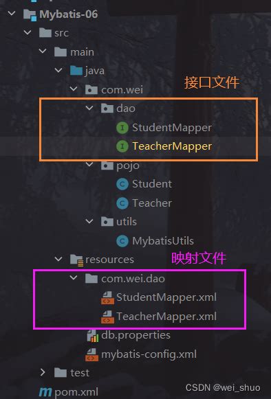 mybatis持久层框架 mapper加载方式、目录结构解析 mybatismapper结构 csdn博客