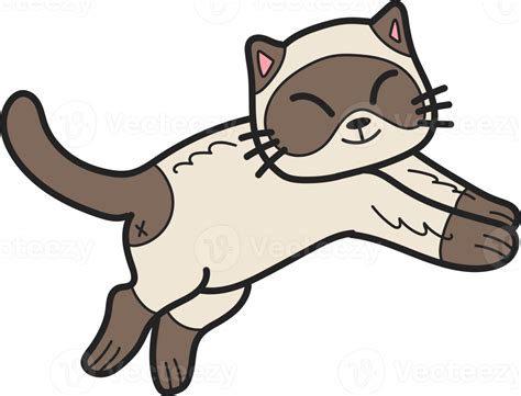Hand Drawn Jumping Cat Illustration In Doodle Style PNG