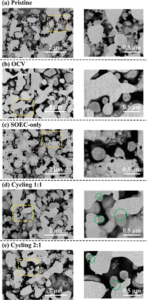 Sem Images Acquired By The Bse Detector Of Ni 0 9 Co 0 1 Sdc Download Scientific Diagram
