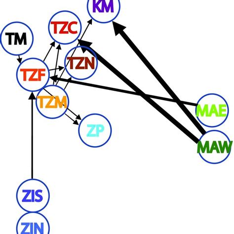 Tess Clustering Analysis Of The 11 Thalassia Hemprichii Populations In Download Scientific