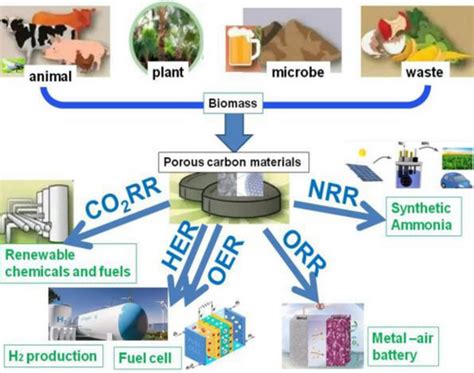 Biomass‐derived Porous Carbon Materials For Electrocatalysis Lv 2024 Chemistryselect