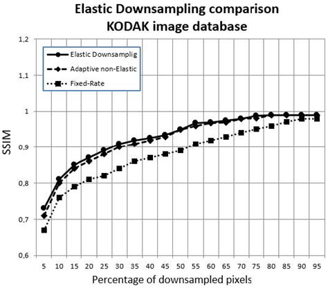 Elastic Downsampling An Adaptive Downsampling Technique To Preserve