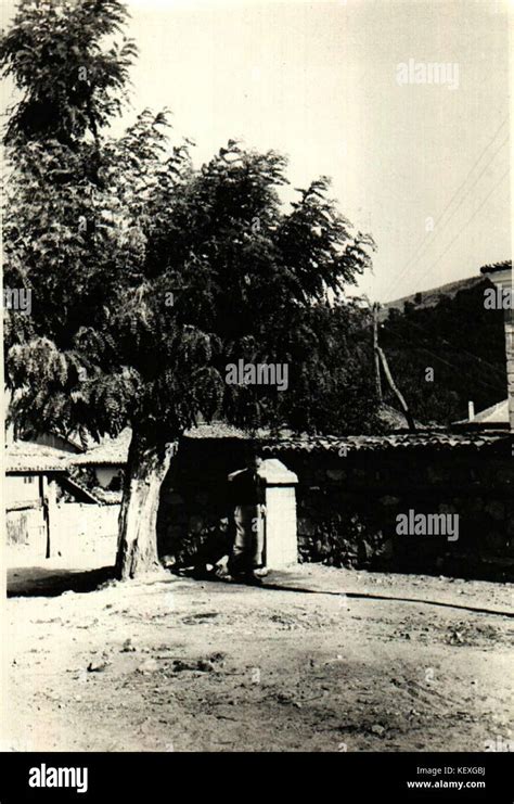 An Archival Reference Number For A Specific Photograph Or Document Possibly Related To