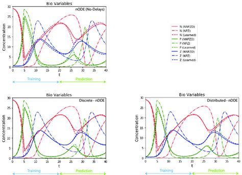 Comparison Of The Biogeochemical Variables From The Learned Npz Model Download Scientific