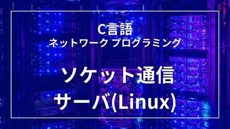 C言語で学ぶソケット通信サーバー編 InnovationCode Lab