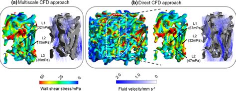 A Multiscale Computational Fluid Dynamics Approach To Simulate The