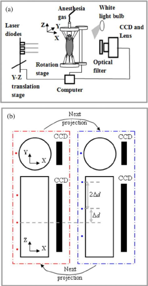 Sc Fdot A Schematic Of The Sc Fdot System B Strategy Of Spatially