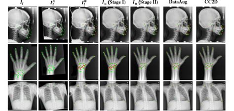 Visualization Of Learned Transformations And Comparison With Baseline Download Scientific