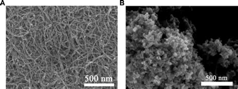 Figure 1 From Promising Cose2 Cnt Composite Catalyst For Efficient Photoelectrochemical Hydrogen