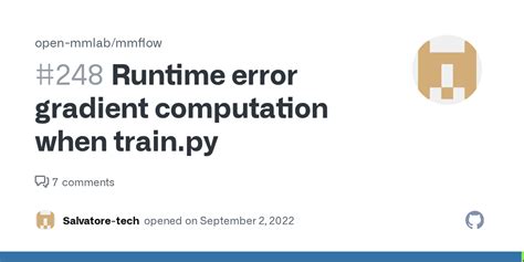 Runtime Error Gradient Computation When Trainpy · Issue 248 · Open